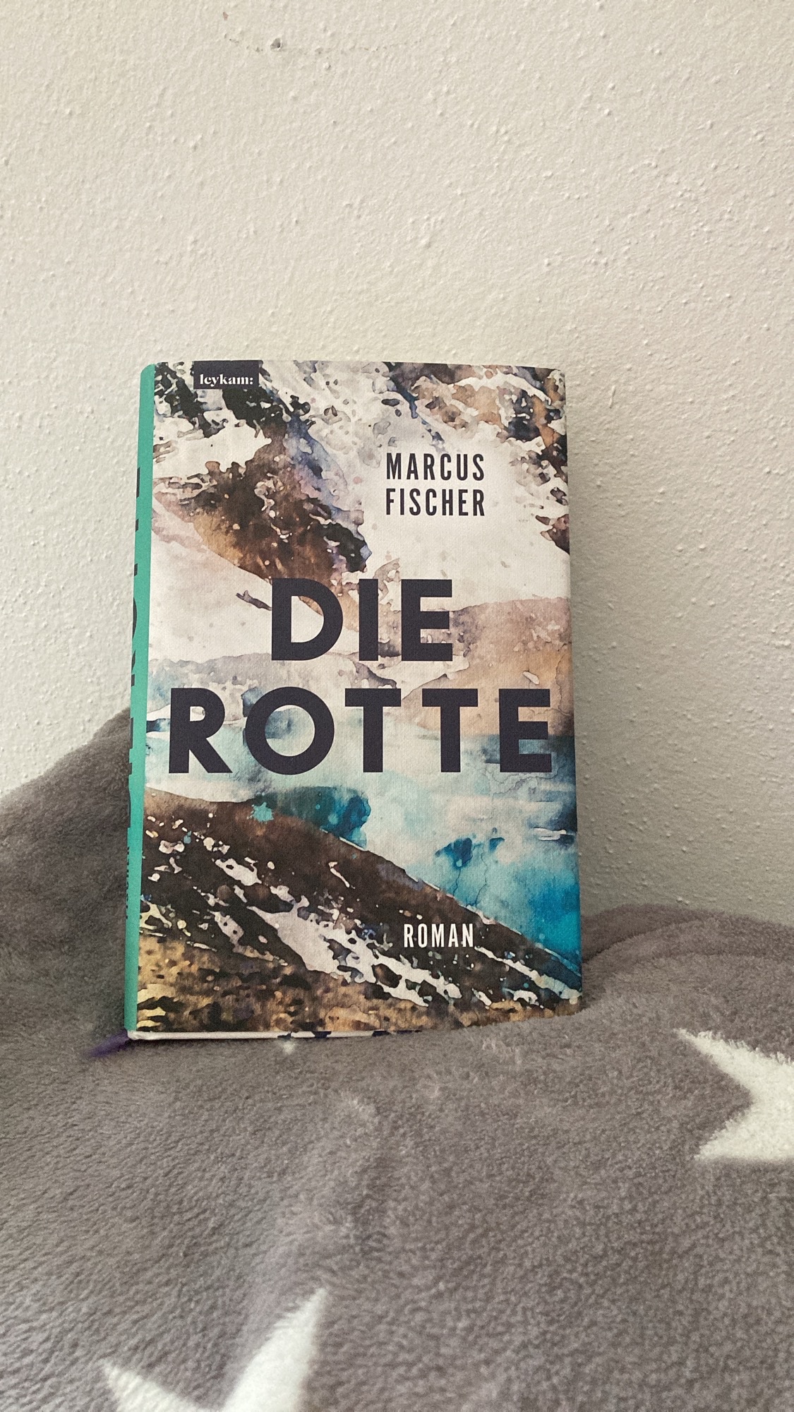 Spiel der Heugabeln: Marcus Fischers Die Rotte – litrobona